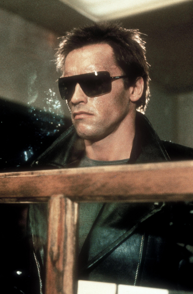 terminator arnie