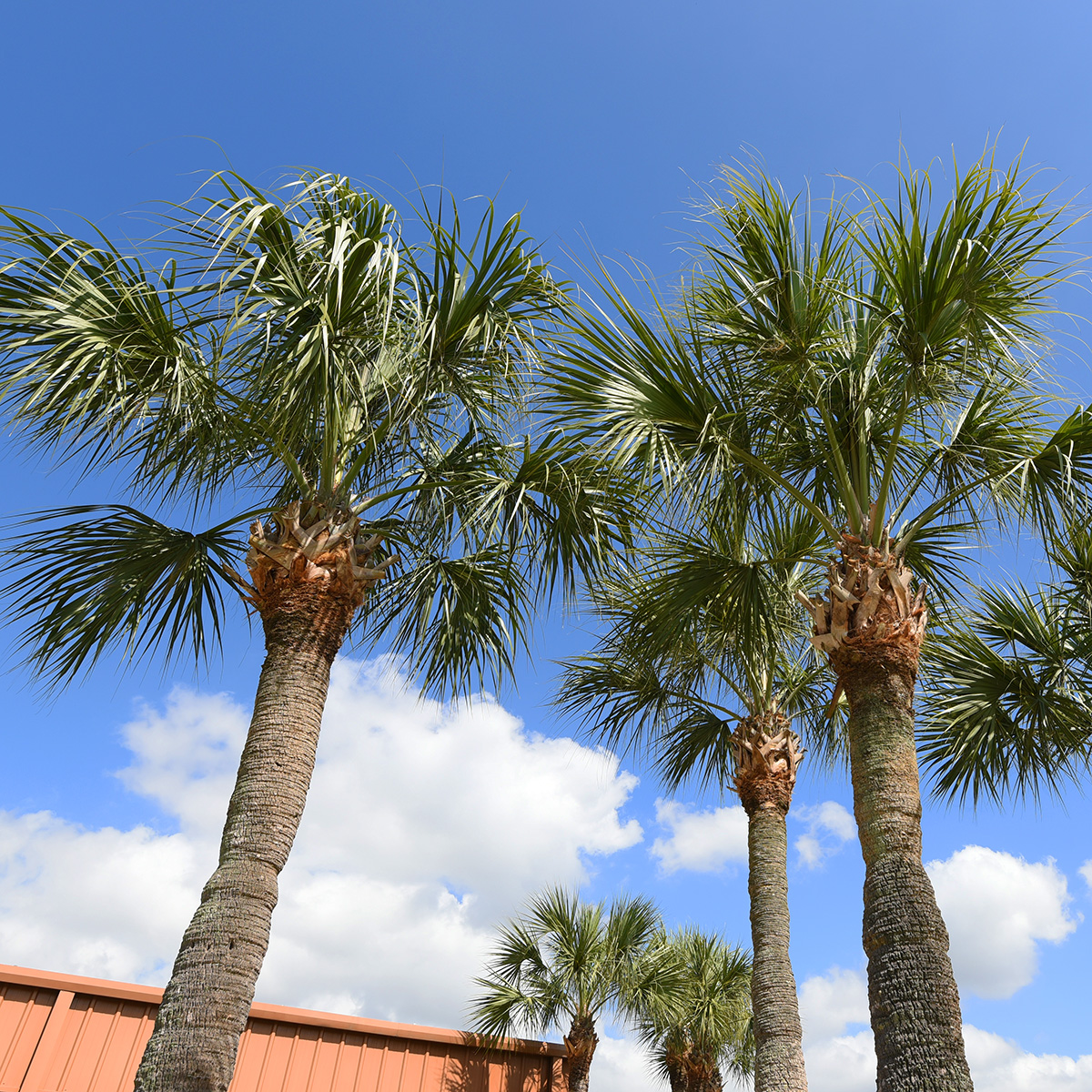 Boca Raton Plane Crash: Multiple People Feared Dead