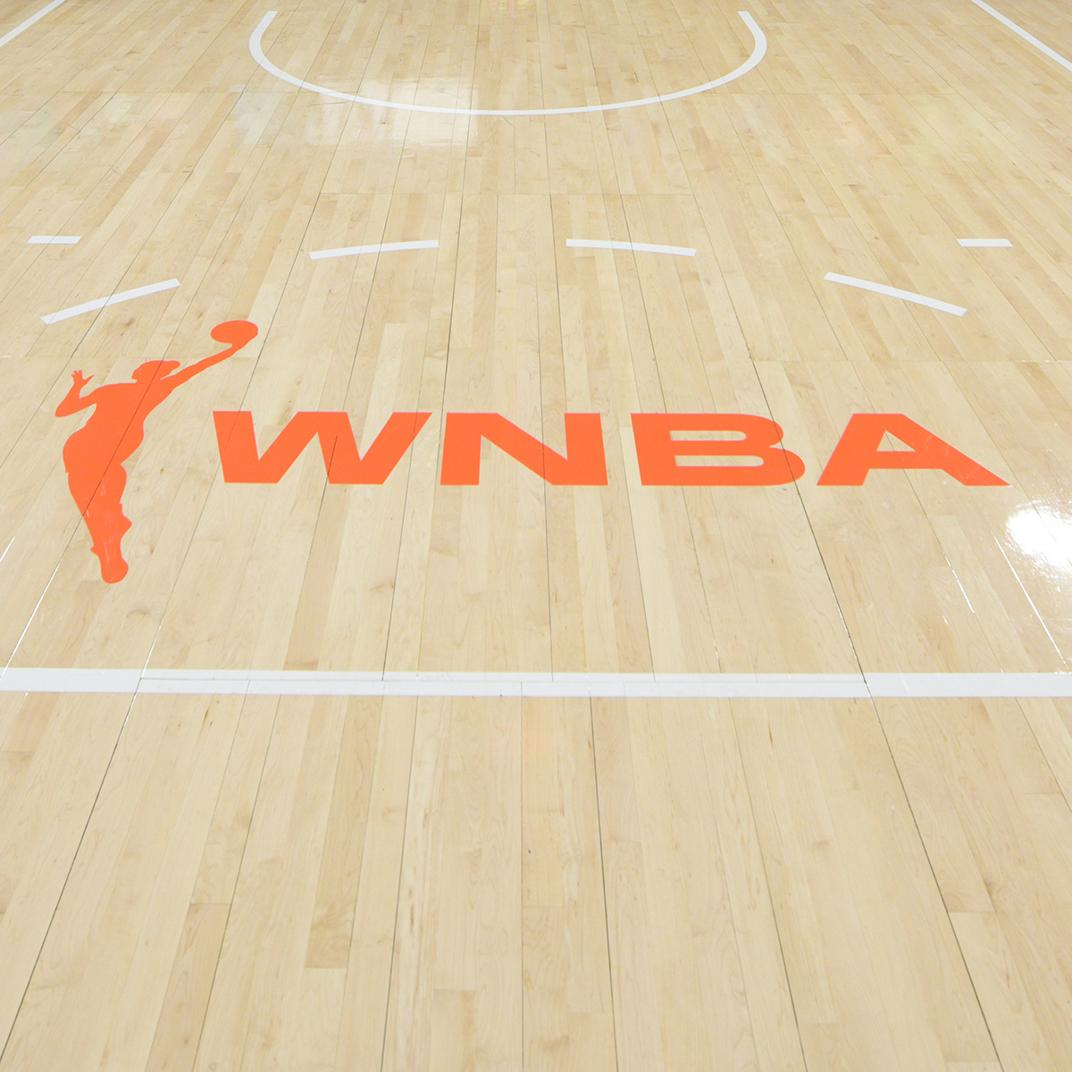 WNBA Game Interrupted by Sex Toy on Court