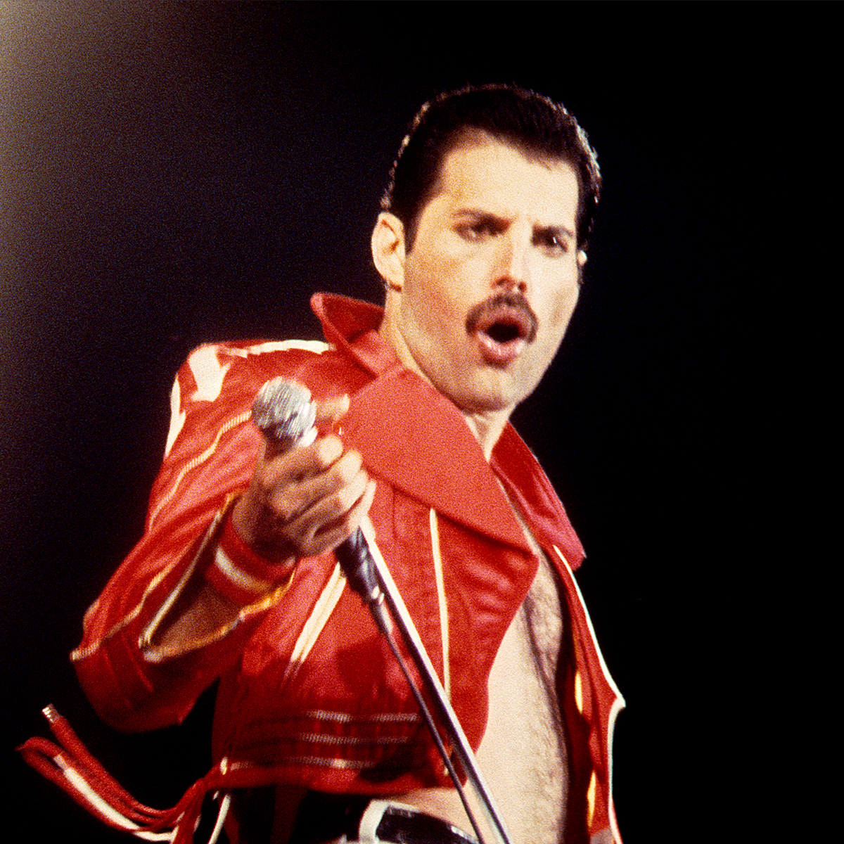 Freddie Mercury's Private World